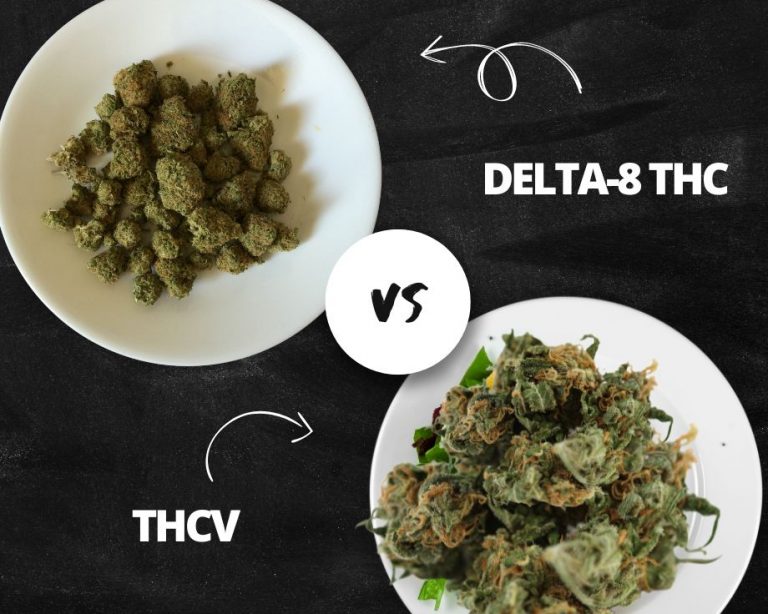 THCV vs. Delta-8 THC: Key Differences