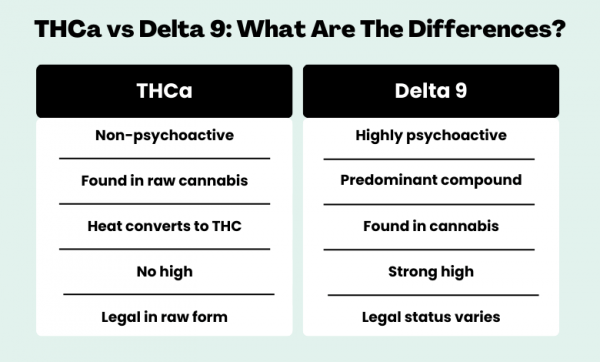 THCa vs Delta 9: What Are The Differences? | ATLRx