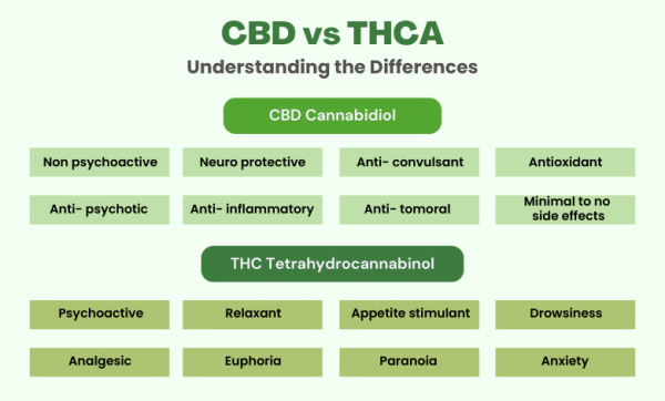 THCA vs CBD: Understanding the Differences | ATLRx THCA vs CBD: Understanding the Differences | ATLRx