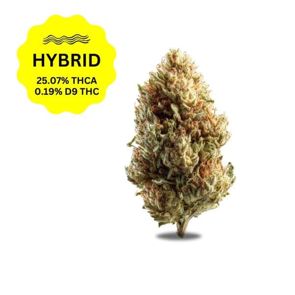 Cream Smoothie THCa Flower (Smalls) - ATLRx